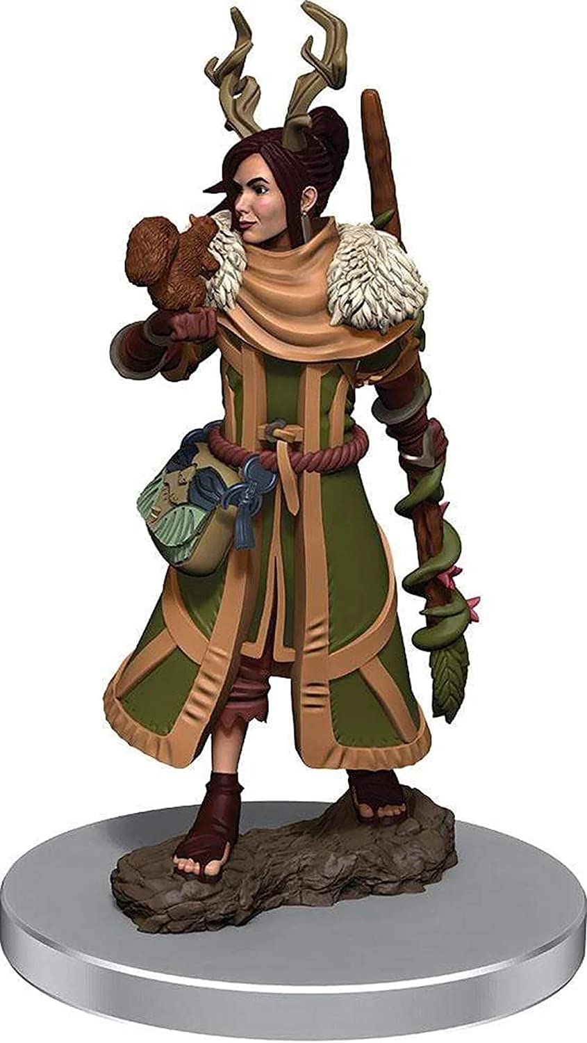 Dungeons & Dragons: Icons of the Realms - Female Human Druid Premium P ...